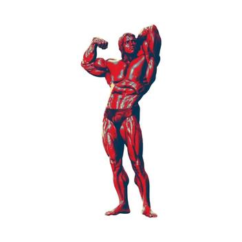 Arnold Schwarzenegger Muscle Fitness Motivação Poster Pintura Em Tela ...
