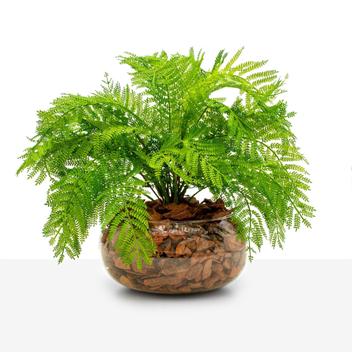 Arranjo Vaso Vidro Planta Samambaia Verde Silicone Realista - Floralis ...