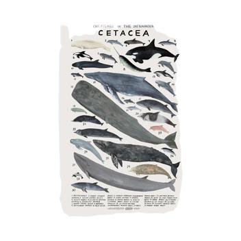 Arte Abstrata Marinha com Medusa, Baleia, Lula e Peixes - Lona para ...