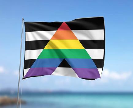 Bandeira Aliado Hétero LGBTQIA+ 80cmx140cm Tecido Oxford 100% Poliéster ...