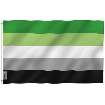 Bandeira Anley Aromantic Pride - 90x150cm - Poliéster com Ilhós ...