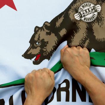 Bandeira Anley da Califórnia - 90x150cm - Resistente a Rasgos ...