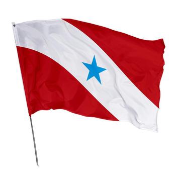 Bandeira Do Pará 1,45M X 1M - Prime Comunicação Visual - Bandeiras ...