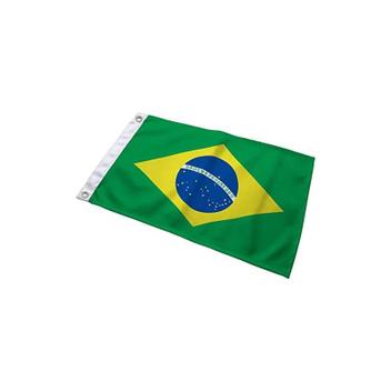 Bandeira nacional brasil pequena dupla face 22x33 cm barco lancha ...