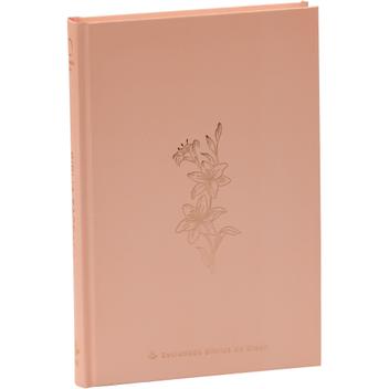 Bíblia Ara, Rose Tan, Capa Dura - Almeida Revista E Atualizada - SBB ...