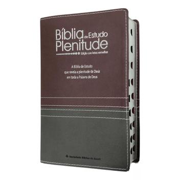 Bíblia de Estudo Plenitude RC, Com Índice - SBB - Livros de História e ...