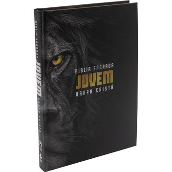 Bíblia Sagrada Jovem com Harpa Cristã Sem Índice Capa Dura ARC ...