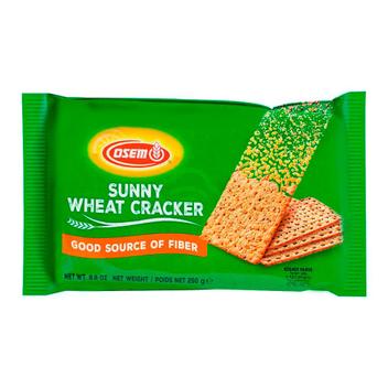 Biscoito Cream Cracker Osem 250g - Biscoito / Bolacha - Magazine Luiza
