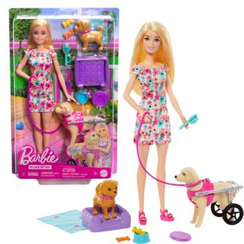 Boneca Barbie Passeio Com Cachorrinho De Cadeira De Rodas HTK37 ...