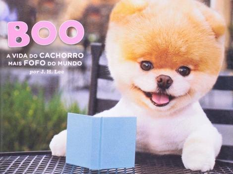 Boo - a vida do cachorro mais fofo do mundo - RAI EDITORA - Biografias ...