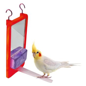 Brinquedo Aves Bica Bica com Espelho e Pedra de Calcio - Toco Tucano - Brinquedos para Pássaros ...