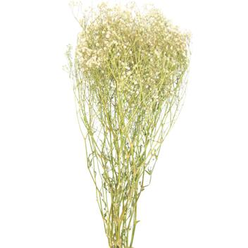 Buquê Gypso Mosquitinho Branco Gypsofila Desidratado Arranjo - INSPIRA ...