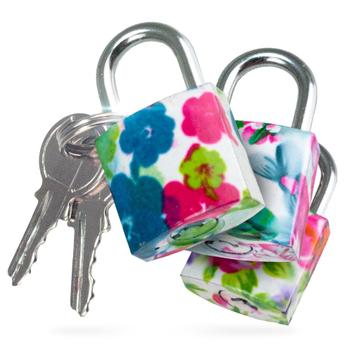 Cadeado Pequeno Para Armario Academia 21mm Decorado Chaves - TE ...