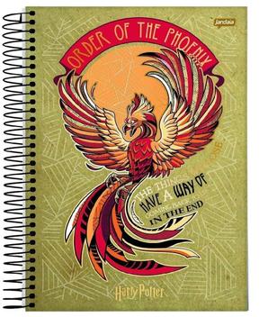 Caderno Colegial Harry Potter Espiral Capa Dura 80 Folhas - JANDAIA ...