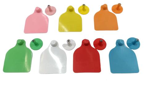 Caixa com 50 Cj Brinco Grande sem Marcação para Gado Bovino e Macho com ...