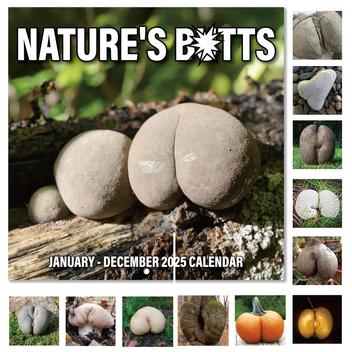 Calendário de parede Vindora 2025 de janeiro a dezembro 12x24cm ...