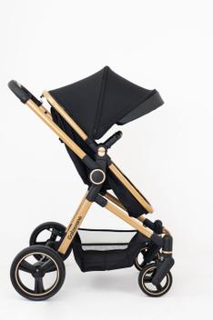 Carrinho de Passeio Galzerano Ivy 0 a 15kg com Cesto Moises - Mini ...