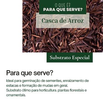 Casca De Arroz Carbonizada 3 Lts - Mogifertil - Casca para Jardim ...