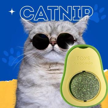 Catnip Brinquedo Interativo Gato Abacate 360º Fita Adesiva - Napi ...