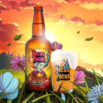 Cerveja Hocus Pocus Orange Sunshine 500ml - Cerveja - Magazine Luiza