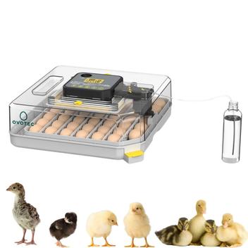 Chocadeira Automática Com Controle Umidade Até 48 Ovos - OvoTec ...