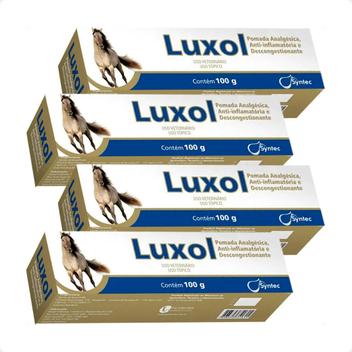 Combo 4 Luxol Syntec Pomada Anti-Inflamatória para Equinos - 100g - Acessórios para Primeiros ...