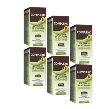 Complexo B 6x30ml Vitaminas B1, B2, B3, B5 E B6 - Arte Nativa ...