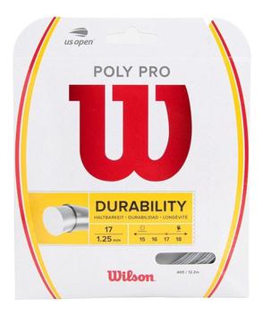 Corda Wilson Poly Pro 17 1.25mm Prata - Set Individual - Produtos para ...