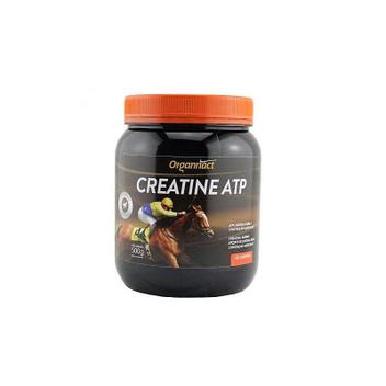 Creatine Atp - 500 Gr - Organnact - Creatina - Magazine Luiza
