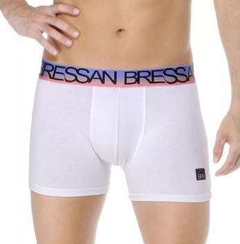 Cueca Boxer Bressan Microfibra Elástico Sublimado Kit Com10 cuecas ...