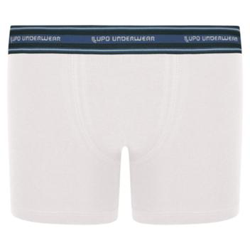 Cueca Boxer Infantil Lupo 141-003 - Cueca Infantil - Magazine Luiza