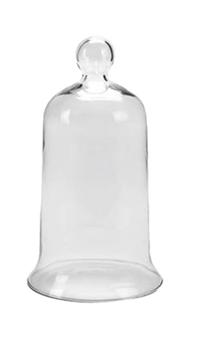 Cúpula Redoma Em Vidro 41 Cm De Altura 22 Cm De Diâmetro GG - Amor ...