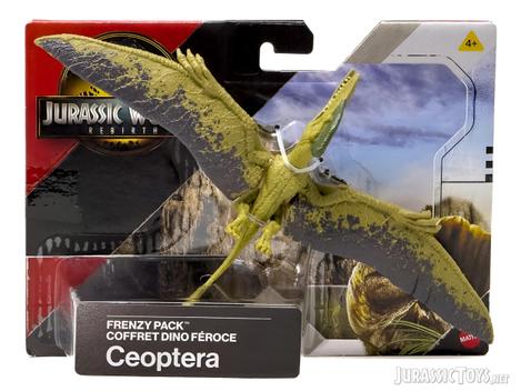 Dinossauro Jurassic World Rebirth Ceoptera Mattel Jgb72 - Bonecos ...