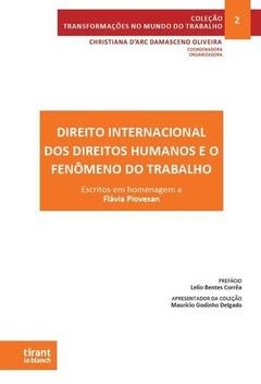 Direito Internacional dos Direitos Humanos e o Fenômeno do Trabalho ...