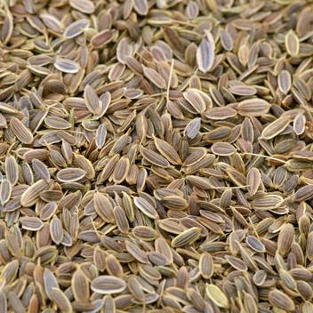 Endro Semente 250gr - Rotulo do Bem - Tempero - Magazine Luiza