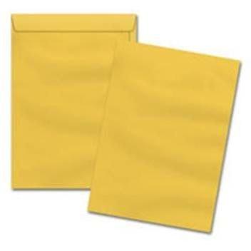 Envelope Saco Ouro 260X360 80Grs. Ko 36 Cx.C/250 Scrity - Envelope ...