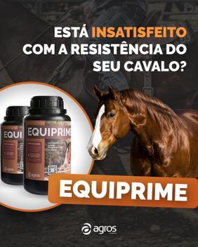 Equiprime agros suplemento aminoácido equinos cavalo potro - Vitaminas ...