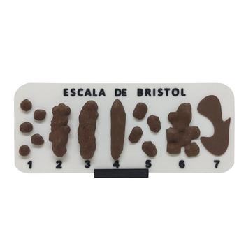 Escala De Bristol com Suporte Tabela Fezes Cocô 3D com Números - Pupa ...