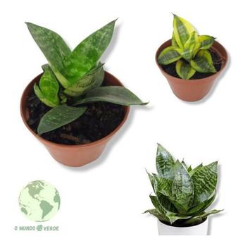 Espada De São Jorge Mini Amuleto De Proteção Decoração Top - O Mundo ...