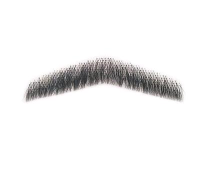 Fantasia Bigode Postiço Falso Preto + Cola - Lynx - Fantasia - Magazine ...