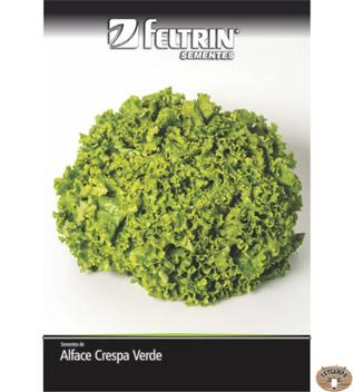 Feltrin semente de alface crespa verde - Sementes - Magazine Luiza