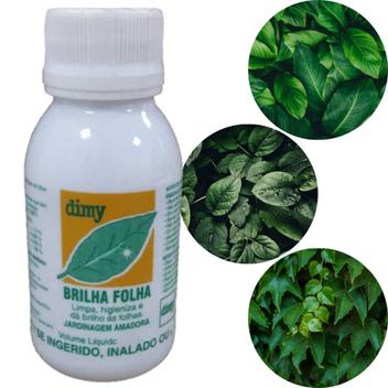 Fertilizante Brilha Folha 50ml Dimy - Fertilizante para Plantas ...
