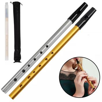 Flauta Irlandesa Tin Irish Whistle Re D Escovada + Capa - Lamour ...
