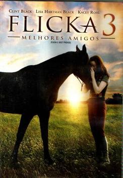 flicka 3 dvd original lacrado - fox - Filmes - Magazine Luiza