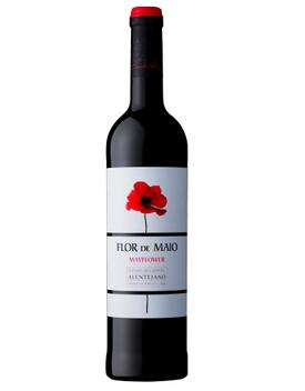 Flor de Maio 2018 - Magnum Carlos Lucas - Maiô Feminino - Magazine Luiza