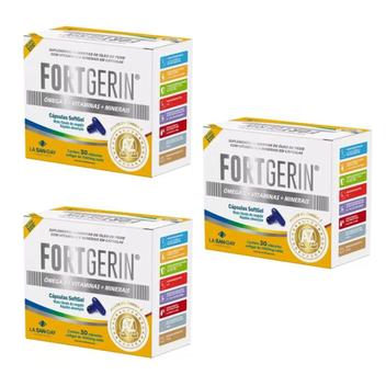Fort Gerin Omega 3 + Vitaminas + Minerais 30 cápsulas SoftGel Kit com 3 ...