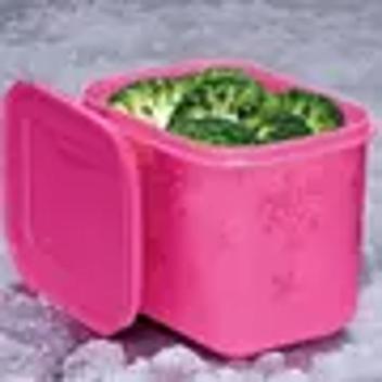 Freezer Line 1,1L Alto - Tupperware - Pote - Magazine Luiza