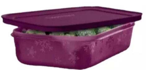Freezer Line Baixo 1 litro Roxo Tupperware - Pote - Magazine Luiza