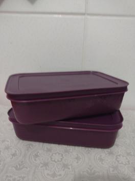 Freezer LINE um litro kit com 2 peças Tupperware original - Pote ...
