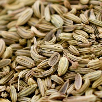 Funcho 100gr - Rotulo do Bem - Erva Doce - Magazine Luiza